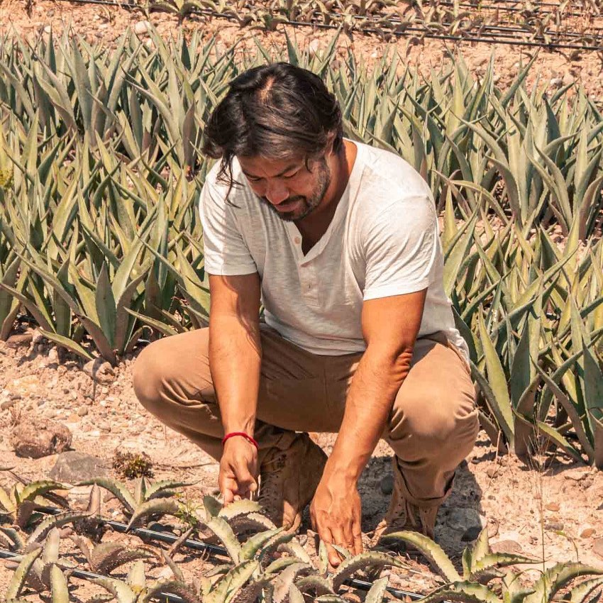 Our Story – Mayawell